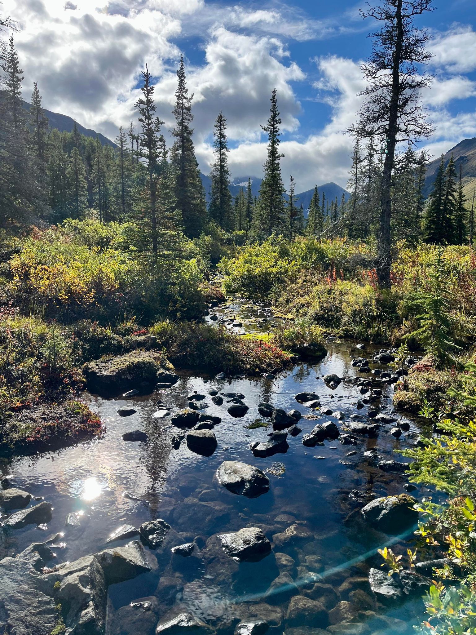 Beginner Hikes in the Chugiak/Eagle River Area – Mr. Johnson Online